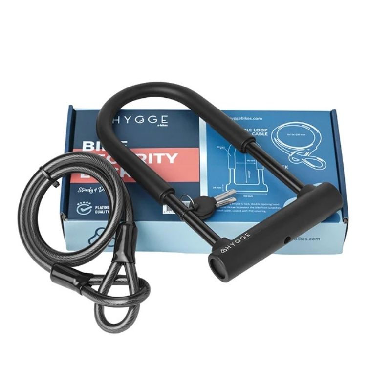 Hygge D-Lock and Cable – Charge & Glide